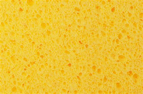 Целлюлозные губки