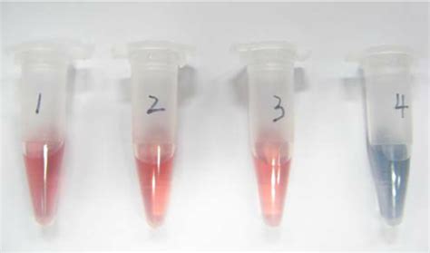 Colorimetric Detection Of Hg 2 1 Aptamer Aunps Nacl 2 Aptamer