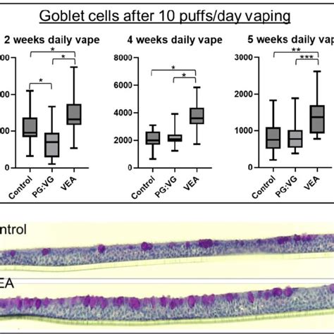 A Manual Goblet Cell Quantifications From Tissue Sections Using