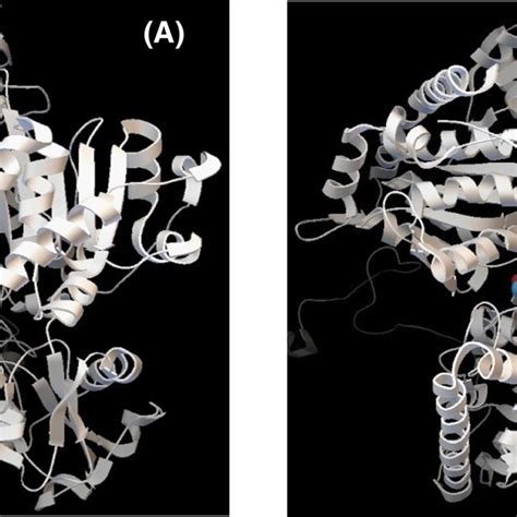 Binding Interaction Of Synthesized Analogs With PFOR A Compound 2 Download Scientific
