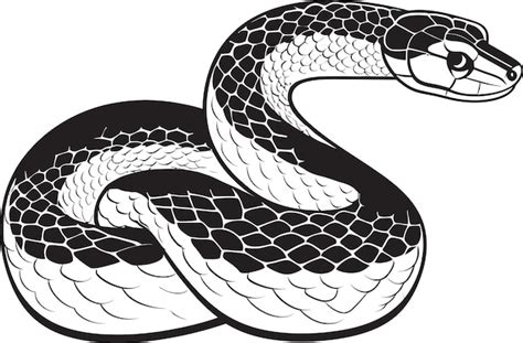 Pythons Silent Strength A Captivating Illustration Of Constrictors Stealth And Hunting Skills