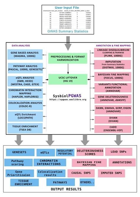 Sysbiolpgwas Pipelines And Architecture Inputs And Outputs The Green