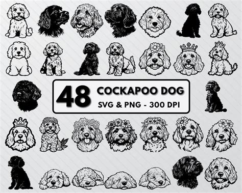 Cockapoo Dog Silhouette Svg Png Clipart Bundle Etsy