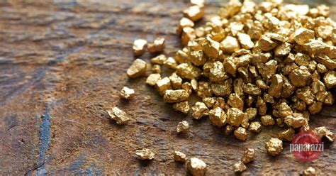 ЦЕГ БУЛГАН АЙМГИЙН БҮРЭГХАНГАЙ СУМЫН НУТАГТ ХУУЛЬ БУСААР АЛТ ОЛБОРЛОЖ БАЙСАН ИРГЭНЭЭС 3 88