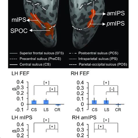 Voxelwise Statistical Map Obtained With The Rfx Glm And Activation Download Scientific