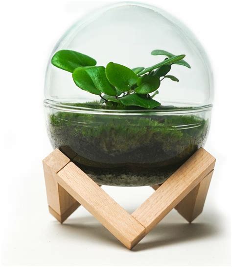 Een Mini Ecosysteem In Je Woning Het Perfecte Interieur