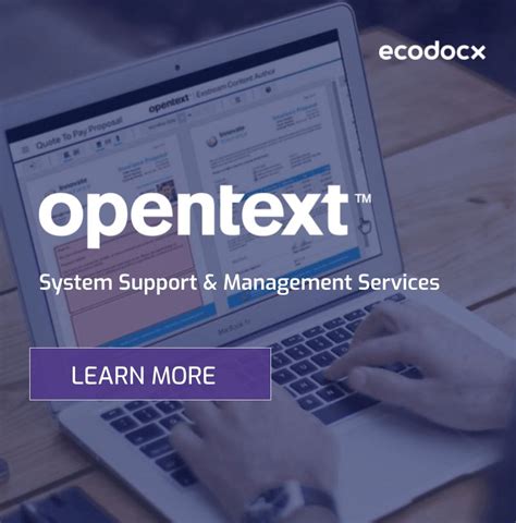 Gartner Third Party System Support Can Reduce It Costs Ecodocx