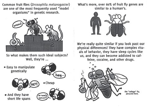 The Small Science Collective