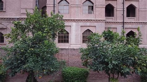 Citrus Icp Uav Object Detection Dataset By Mbzuai