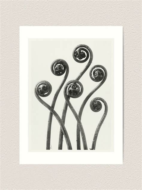 Farn Diagramm Umweltverbände Zur Bundestagswahl