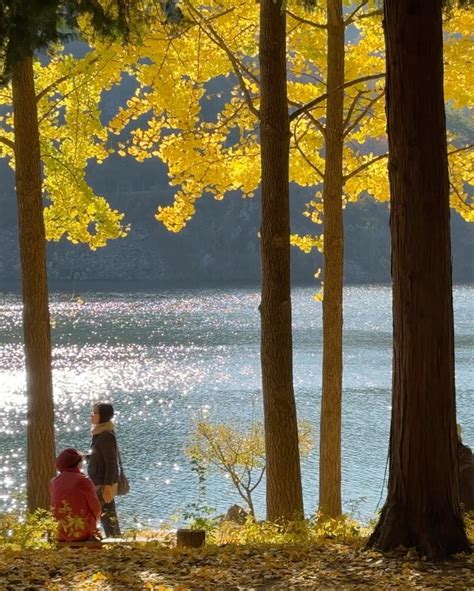 𝐒𝐮𝐲𝐞𝐨𝐧 𝐊𝐈𝐌 요리사 수염이👨‍🍳👩‍🍳 자취방그램 요리는 Joon0207 내가 한 척 사진 찍기👅 ㅋㄱㅋㄱㅋㄱㅋ요리다했더니 그릇이 없었다 집