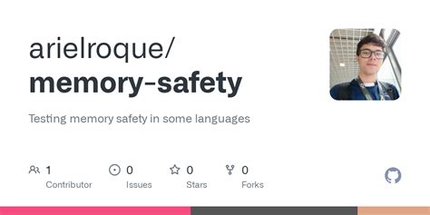 Github Arielroquememory Safety Testing Memory Safety In Some Languages
