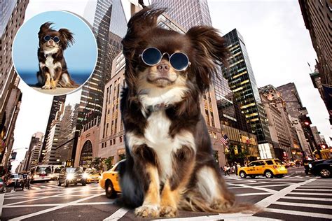 Adding Backgrounds To Photos A Complete Guide