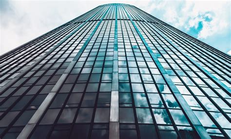 Le Moe Moa Quelle Sont Les Différences