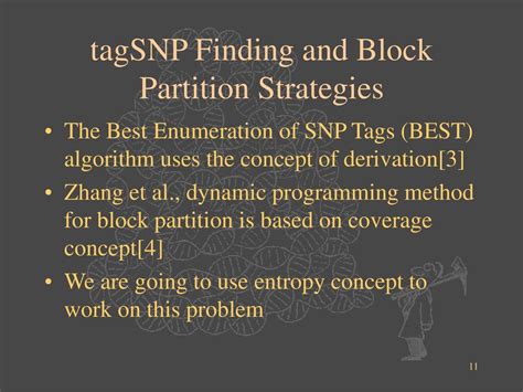 Snp Haplotype Block Partition And Tagsnp Finding Ppt Download