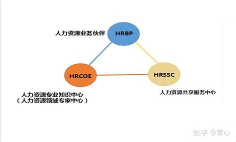 一文读懂人力资源三大支柱体系 知乎