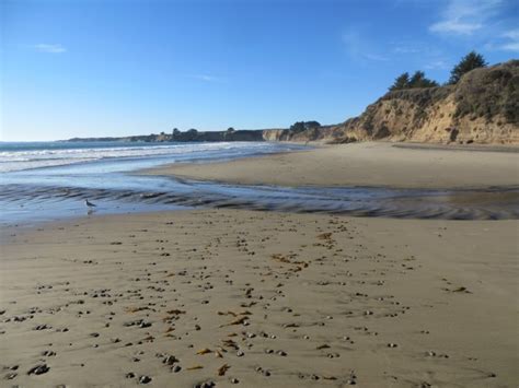 Cove Beach At Ano Nuevo State Reserve In Pescadero Ca California Beaches
