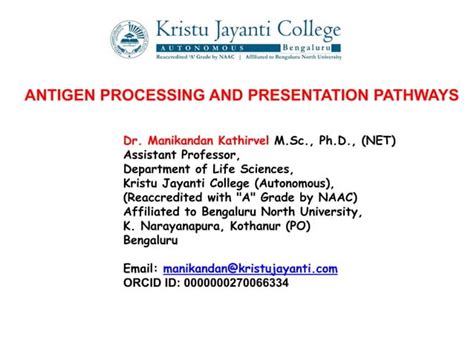Lecture On Antigen Processing And Presentation Pathways Pdf Chemistry Science