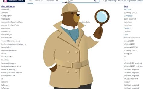 Salesforce Inspector A Must Have Browser Extension For Salesforce