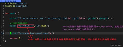 Linux进程替换linux 替换 Csdn博客