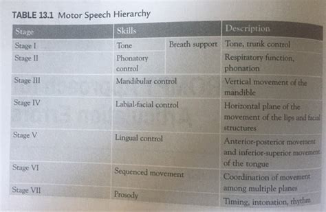 Chapter 13 Prompt Book And Class Notes Flashcards Quizlet