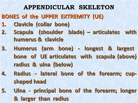 Skeletol System Advanced Ppt
