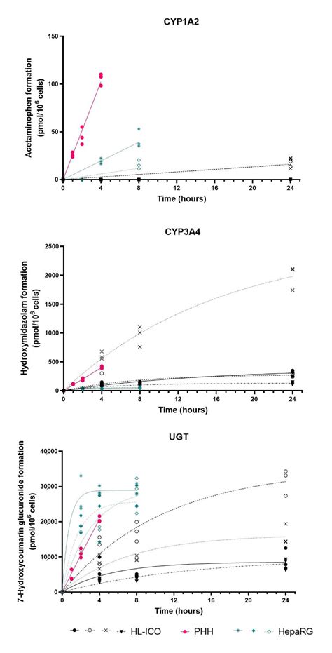 Metabolite Formation As A Measure Of Enzyme Activity In Hepatocyte Like