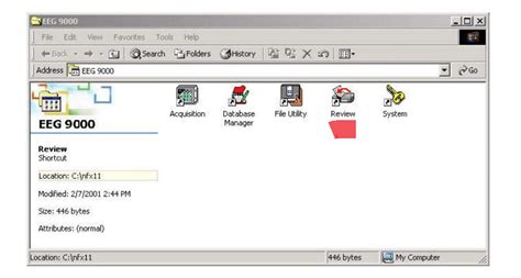 What File Formats Are Possible To Load In Eeglab Researchgate