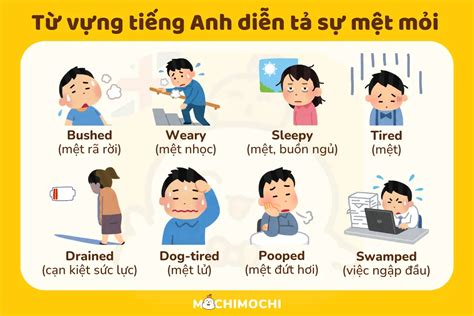 Kiến Thức Trong Tiếng Anh Là Gì Cách Dùng Ví Dụ Dễ Hiểu Cho Người Mới
