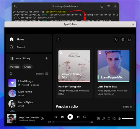 How To Install Spotify On Arch Linux LinuxWays