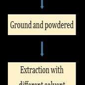 Schematic Representation Of Extraction Processes Download Scientific Diagram