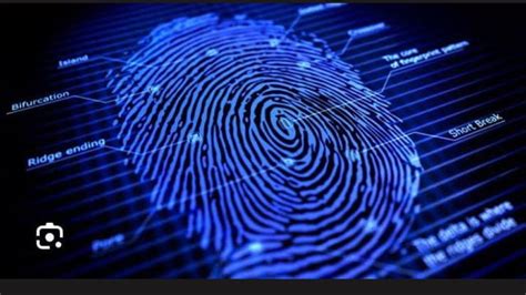 Copy Of Usage Of Fingerprint In Sex Determination 3pptx