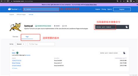 七Docker 安装Tomcat流程注意点实操 docker 拉取tomcat8 CSDN博客