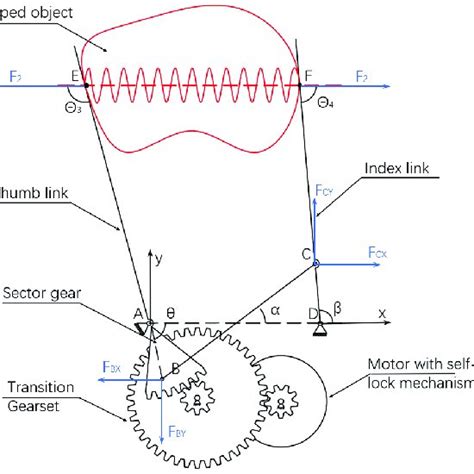 Structures And Schematic Diagram Of The Self Locking Mechanism A Download Scientific