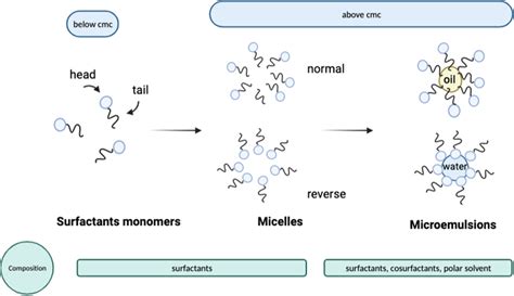 Differences In The Performance Of Surfactants Micelles And Microemulsions Download