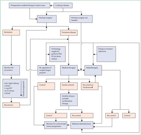 Cushing Syndrome Algorithm At Keith Turner Blog