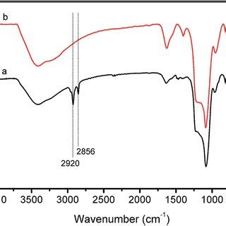 TEM Images Of A Fe 3 O 4 And B Fe 3 O 4 SiO 2 C Fe 3 O 4 SiO 2 Download Scientific