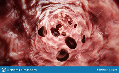 Saturazione Eritrocitica Del Corpo Umano Con Ossigeno Da Parte Del