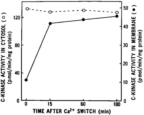 Time Course Of Pkc Activity In Cytosol Soluble And Membrane