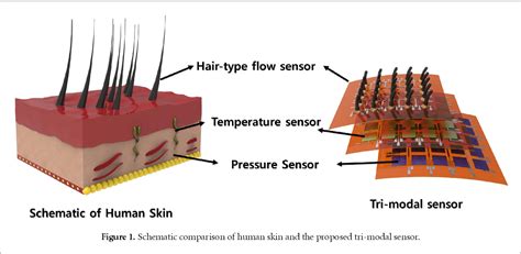 Figure 1 From Flexible And Printed Electronics Flexible Multimodal