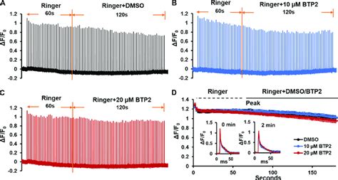Electrically Evoked Ca 2 Transients In Intact Fdb Fibers During Acute
