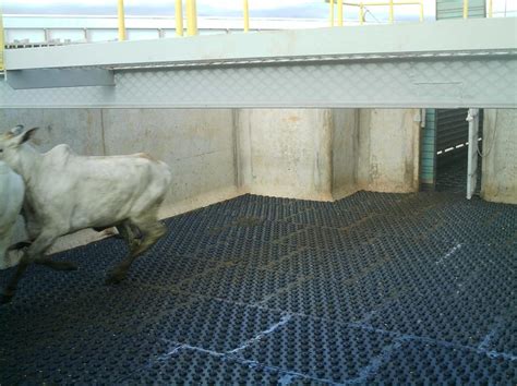 Corrugada Bola Wm Borrachas Pisos De Borracha Para Transporte De