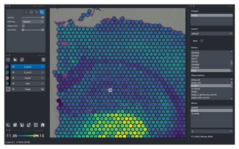 Grid Layout Not Available Anymore Issue Napari Napari Github