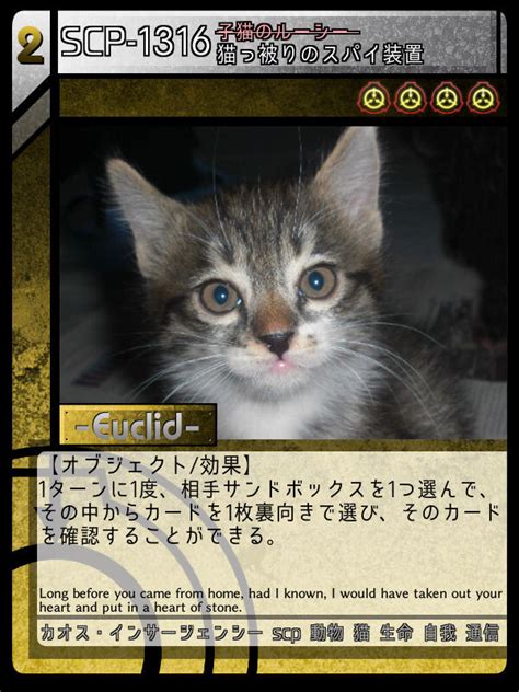 Scp 1316 子猫のルーシー 猫っ被りのスパイ装置 Scptcgjpj Wiki Fandom