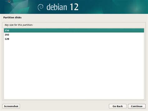 how to do encrypted disk partitioning for debian 12
