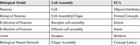 mapping between hebbian cell assembly and fca download scientific diagram
