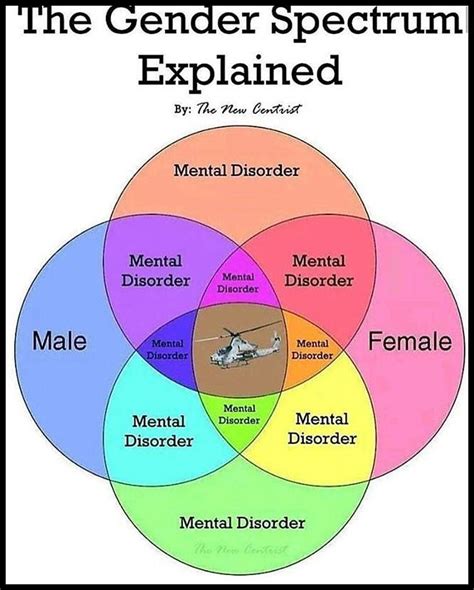 Roumenův Rouming Zábavné A Zajímavé Obrázky The Gender Spectrum Explained