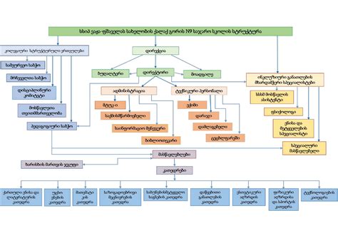 სსიპ ვაჟა ფშაველას სახელობის ქალაქ გორის N9 საჯარო სკოლა სკოლის სტრუქტურა