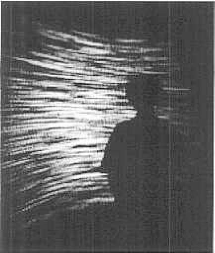 Figure 2 From Auditory Motion Induced By Visual Motion And Its Dependence On Stimulus Size