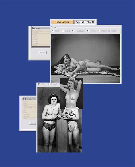 SexnDatabase A Corporeal Taxonomy Membrana